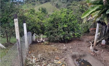 32 Fincas en venta en Colombia - Mitula Casas