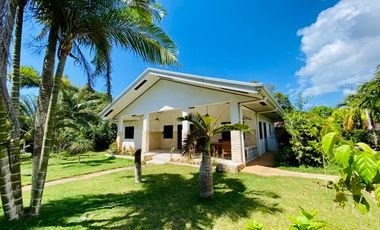 For rent Bohol - 22 houses for rent in Bohol - Dot Property Classifieds