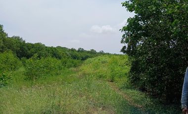 403 Lotes en venta en Cartagena - Mitula Casas