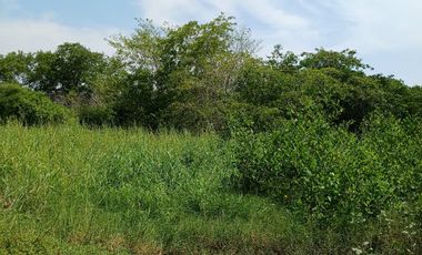 403 Lotes en venta en Cartagena - Mitula Casas