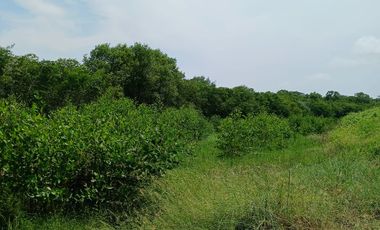 403 Lotes en venta en Cartagena - Mitula Casas