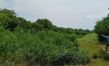 403 Lotes en venta en Cartagena - Mitula Casas