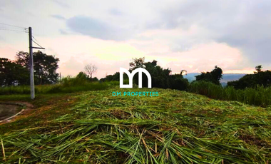 34 Lots for sale cogeo in Antipolo - Mitula Properties