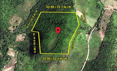 4 Lots for sale in Barugo - Mitula Properties