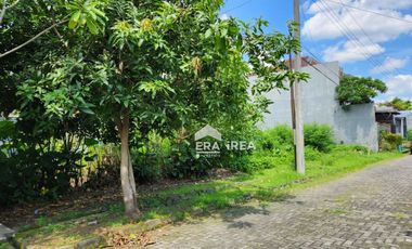 9.536 Tanah Dijual kavling di Pati - Mitula Properti