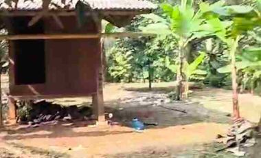 6.299 Tanah Dijual kavling di Brebes - Mitula Properti