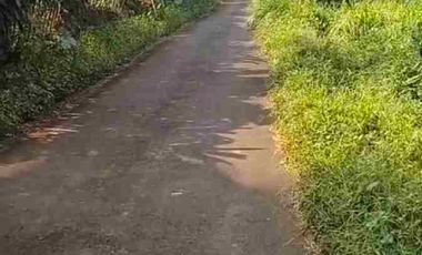 6.298 Tanah Dijual kavling di Brebes - Mitula Properti