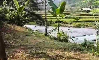 6.298 Tanah Dijual kavling di Brebes - Mitula Properti