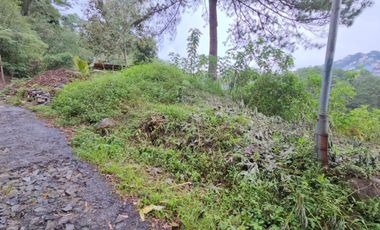 266 Lots for sale in Buyagan - Mitula Properties